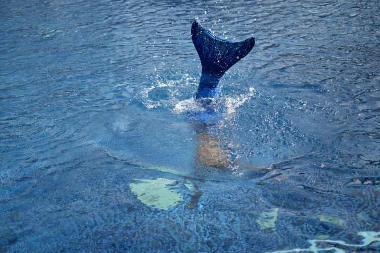ALEXANDER THE MERMAN - Les enfants à Paris